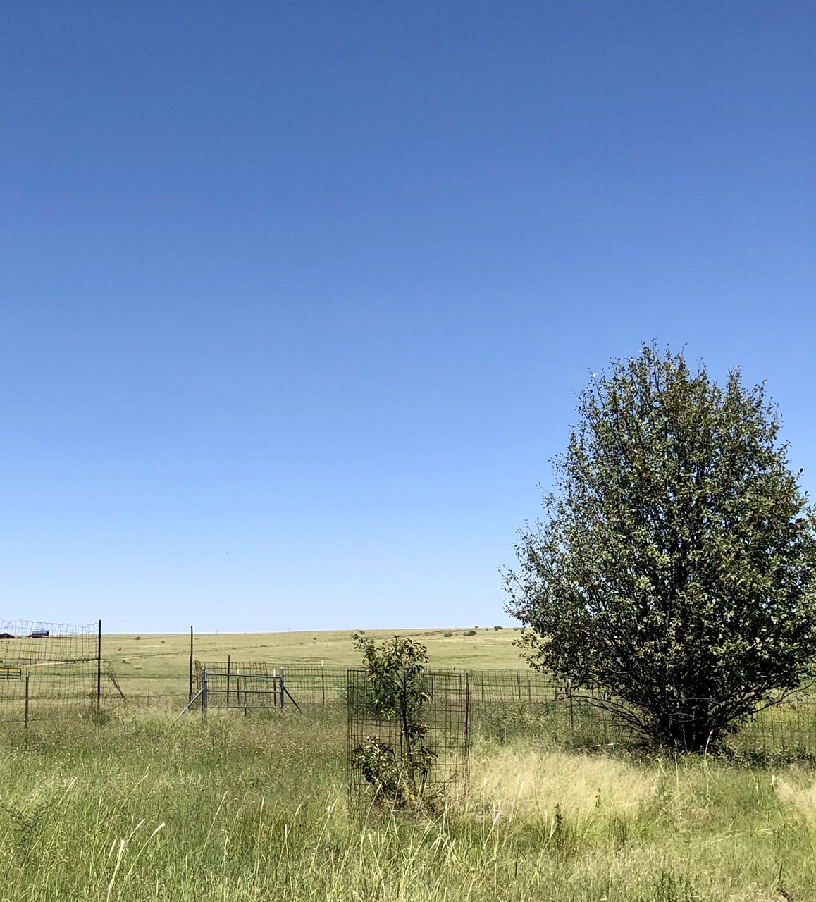 A Day at the Orchard: Apple Paradise – PricklyCider.com