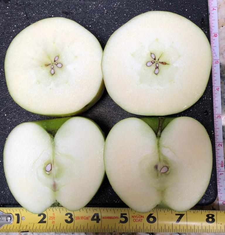 A Study in Color: Making Cider Silver – PricklyCider.com