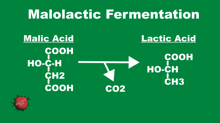 Hard Cider Tip #28: Malolactic Fermentation – PricklyCider.com