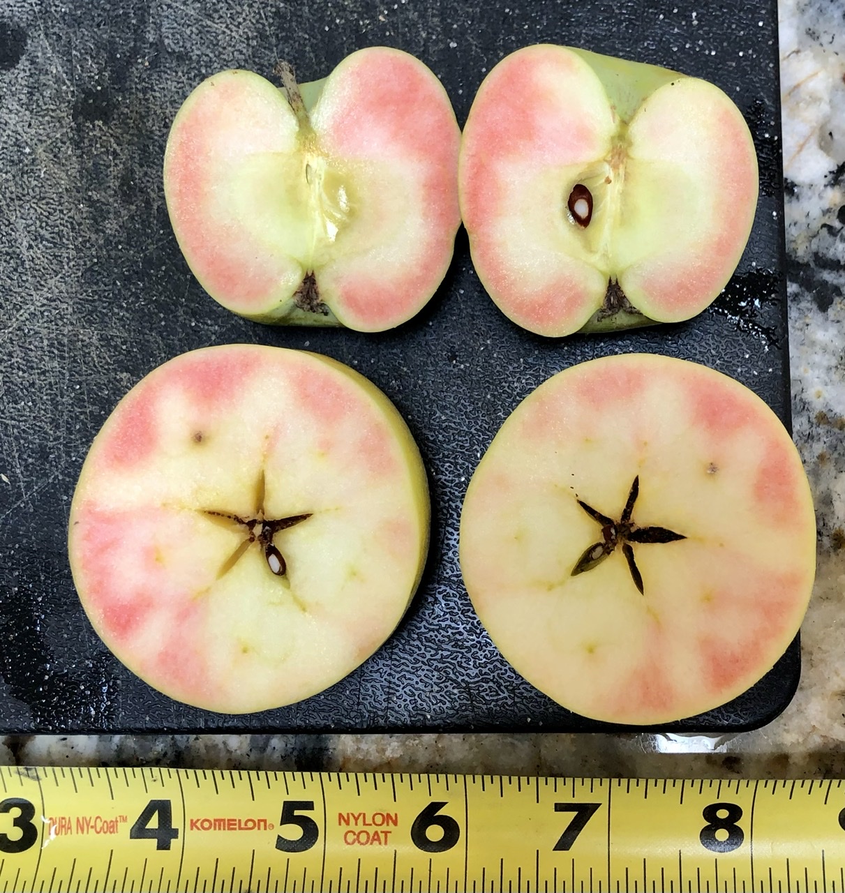 A Day at the Orchard: Apple Paradise Revisited – PricklyCider.com