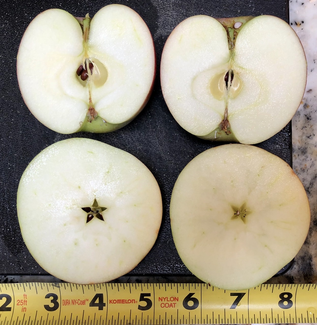 A Study in Color: Making Cider Silver – PricklyCider.com