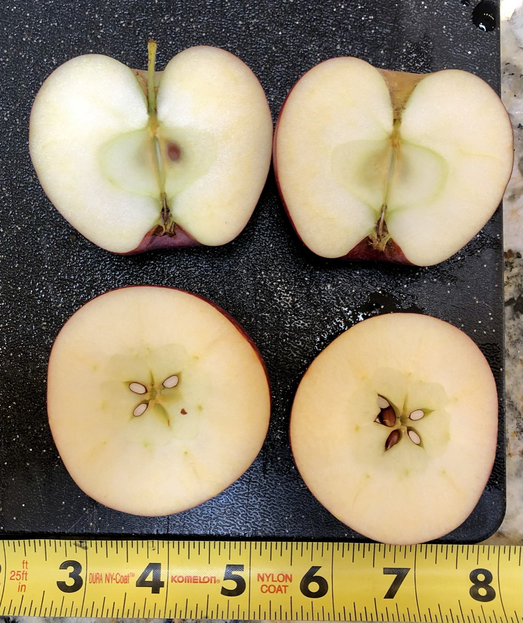 My Favorite Apples of 2020 – PricklyCider.com
