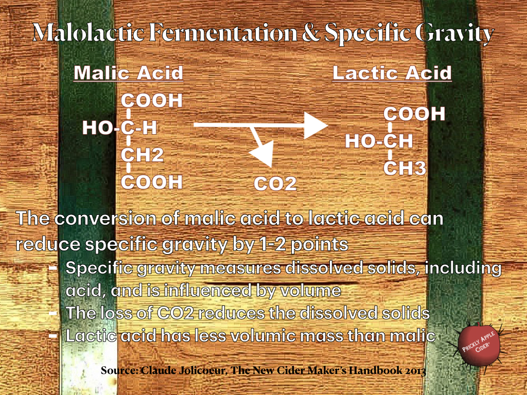 The Impact of Malolactic Fermentation on Specific Gravity ...