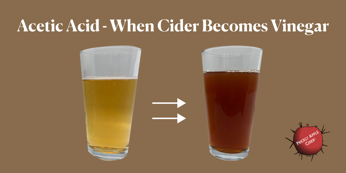 Acetic Acid: How Cider Becomes Vinegar – PricklyCider.com