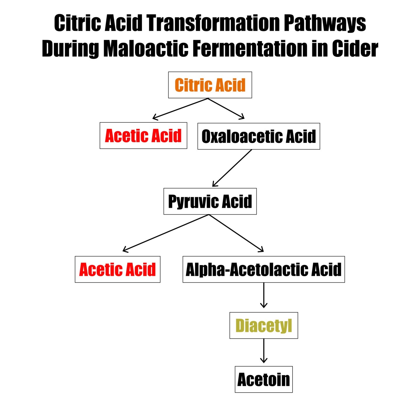 Malolactic Fermentation and Citric Acid – PricklyCider.com