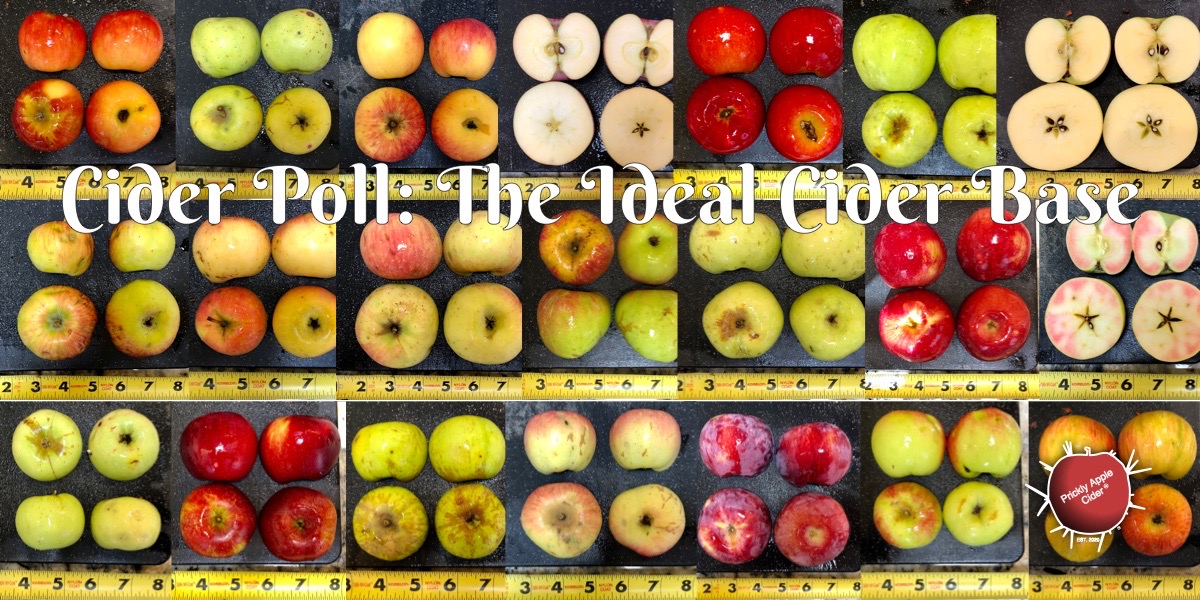 Cider Poll – The Ideal Cider Base – PricklyCider.com